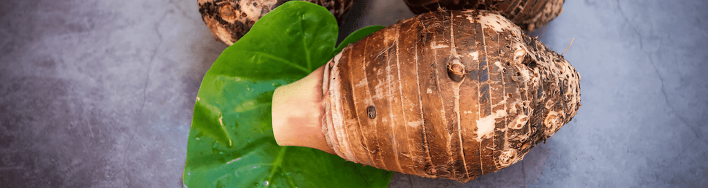 What Is Taro? – ALOHA